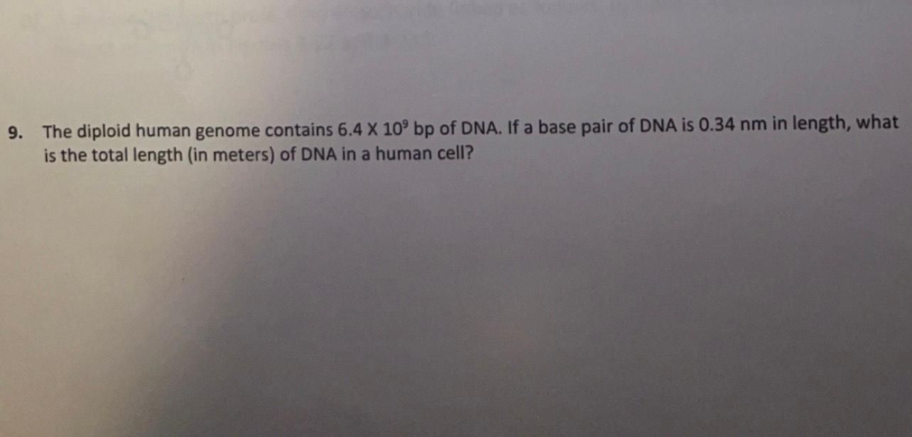 Solved 9. The diploid human genome contains 6.4×109bp of | Chegg.com