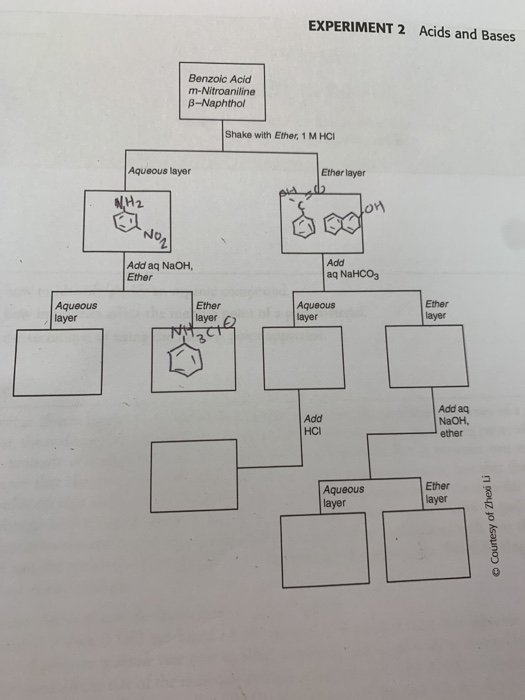 Solved EXPERIMENT 2 Acids and Bases Benzoic Acid | Chegg.com