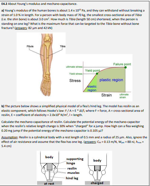 Solved E4.2 ﻿About Young's modulus and | Chegg.com