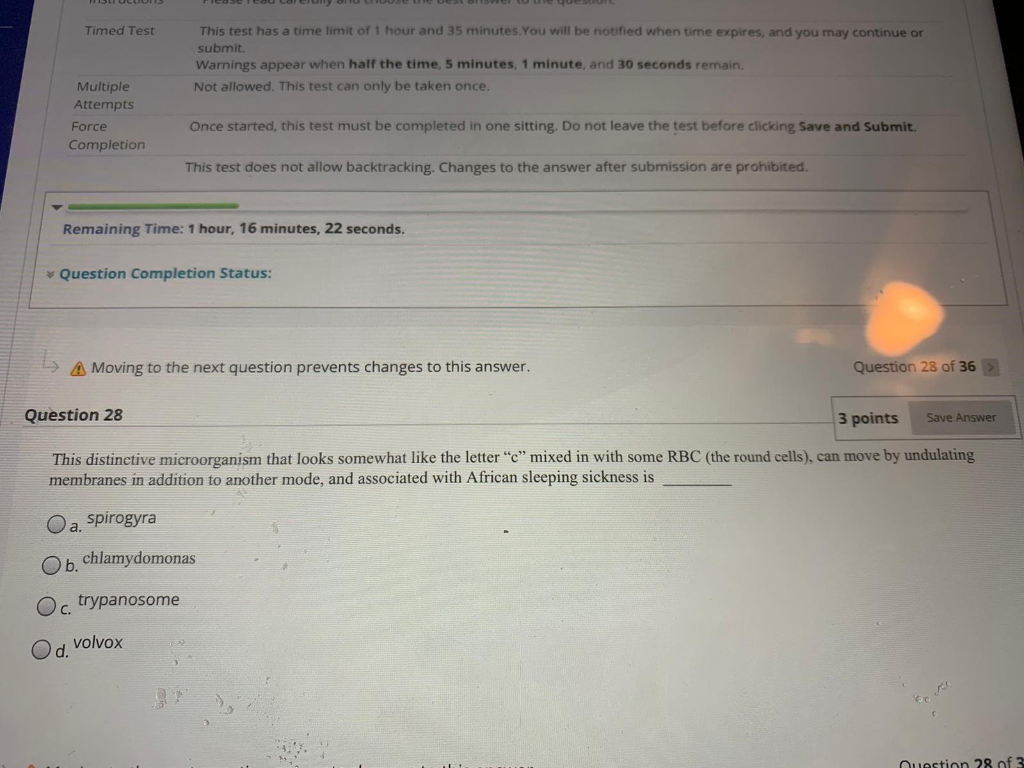 Solved Timed Test This test has a time limit of 1 hour and | Chegg.com