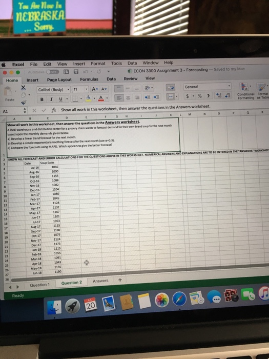 nEBRASK ?Excel File Edit View Insert Format Tools | Chegg.com