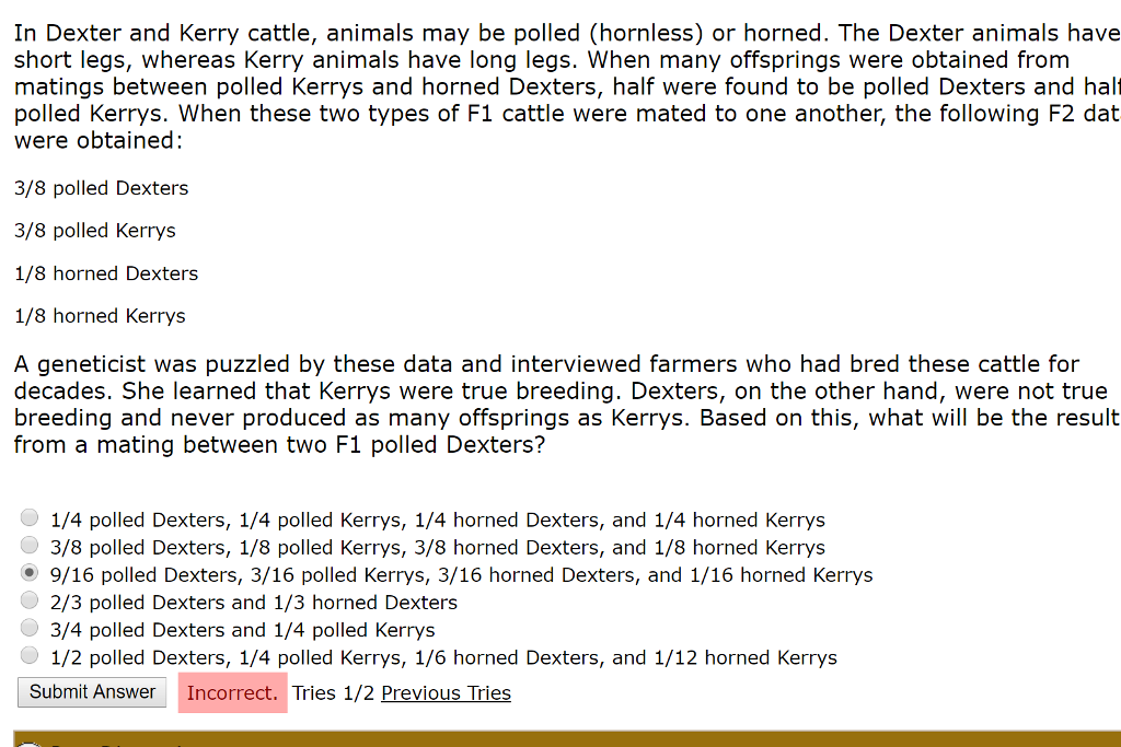 Solved In Dexter and Kerry cattle, animals may be polled | Chegg.com
