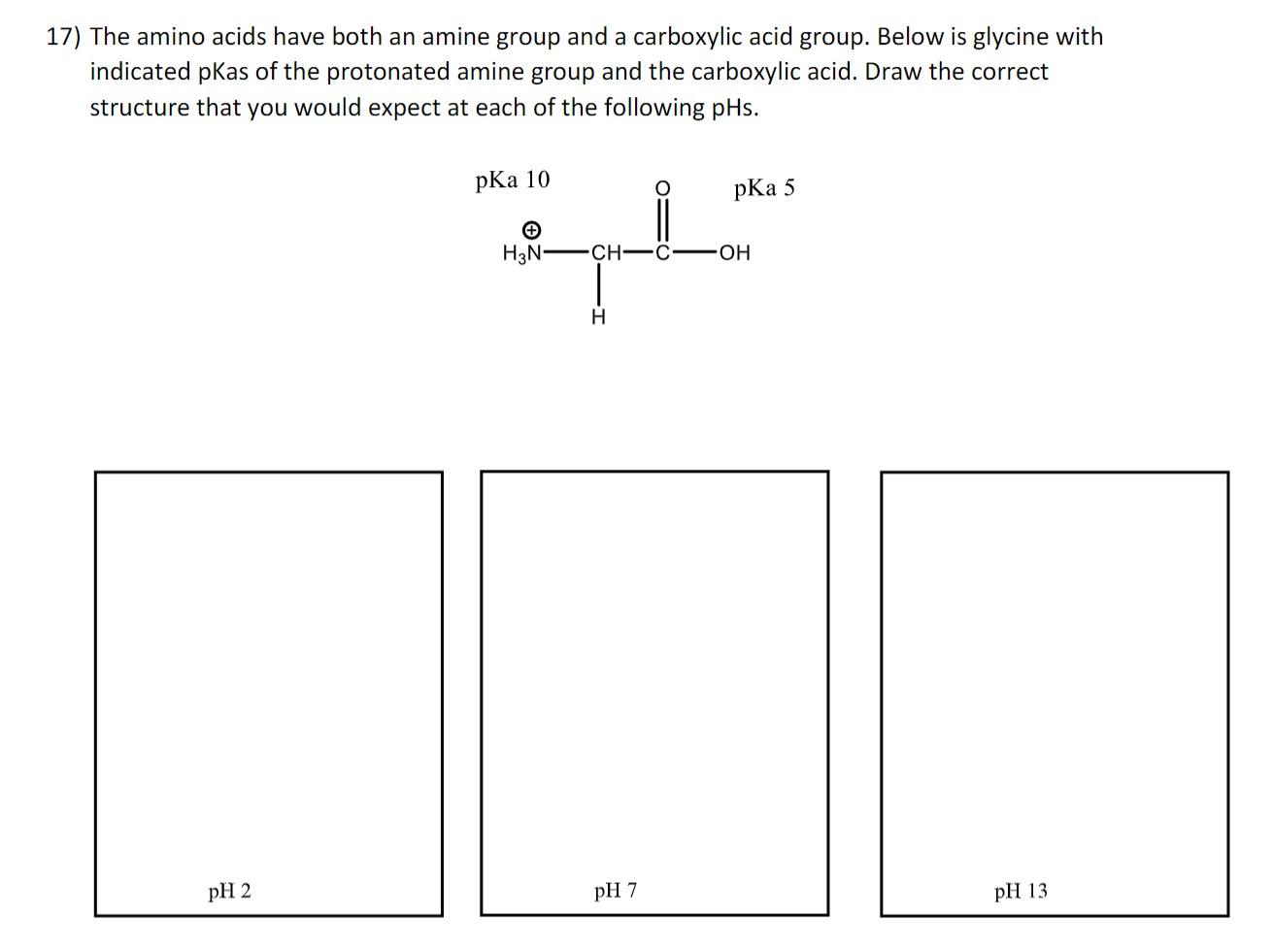 Solved 17) The amino acids have both an amine group and a | Chegg.com