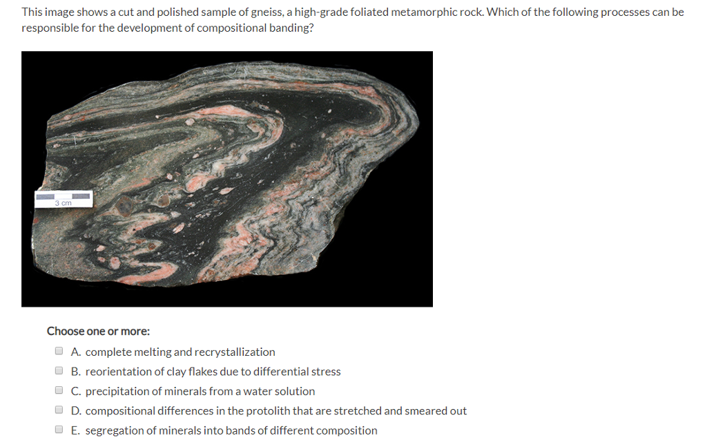 Solved This image shows a cut and polished sample of gneiss, | Chegg.com