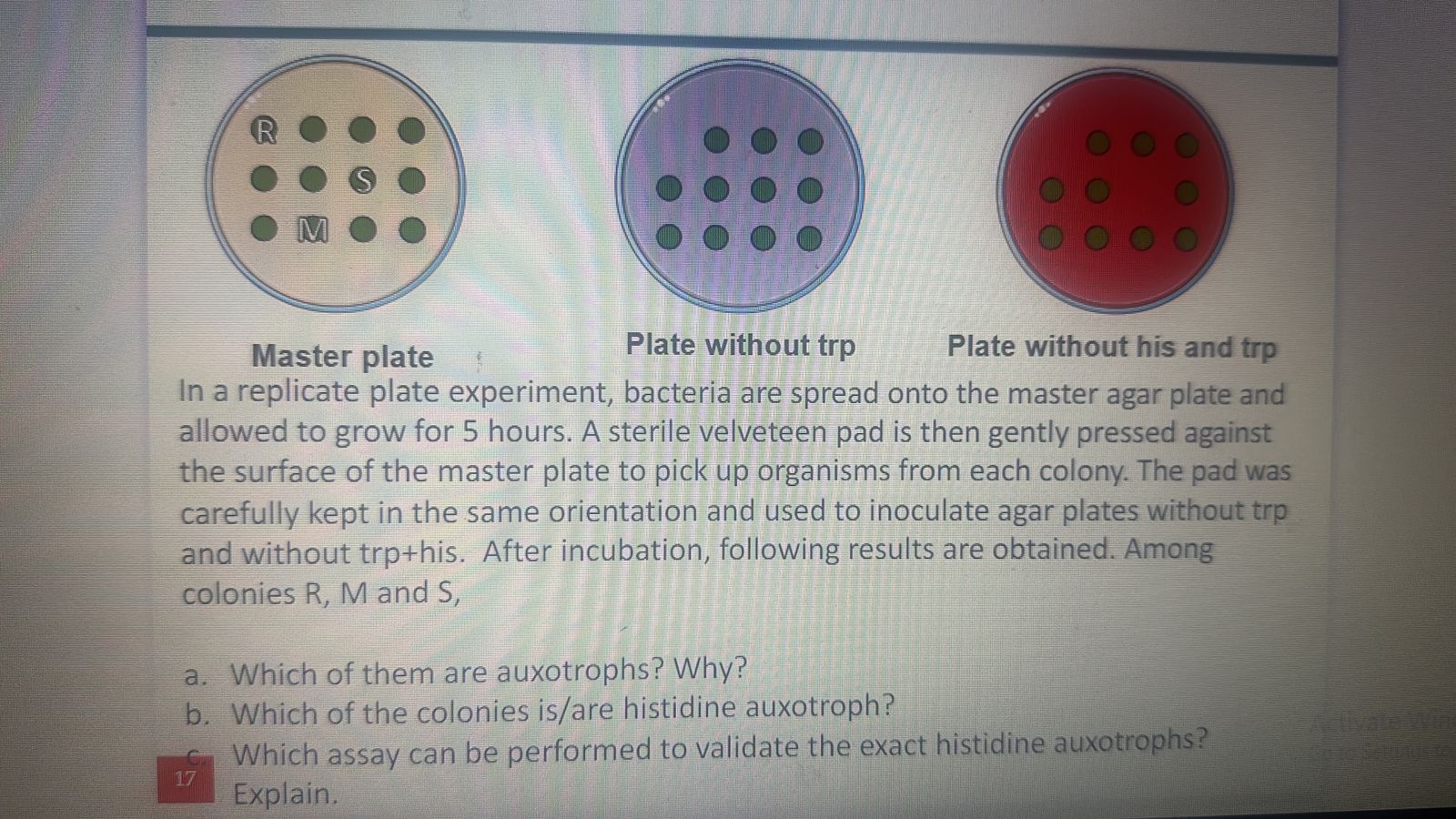 Solved Master plate Plate without trp Plate without his and | Chegg.com