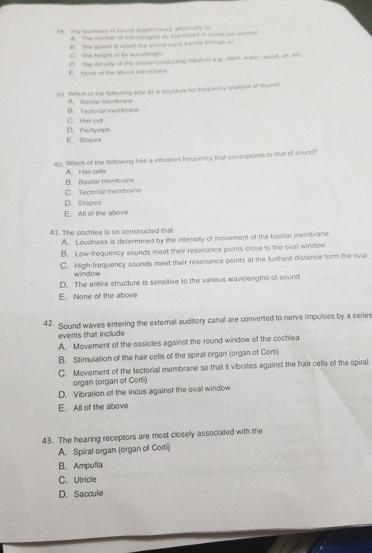 E. None ot the above are comect Which of the | Chegg.com