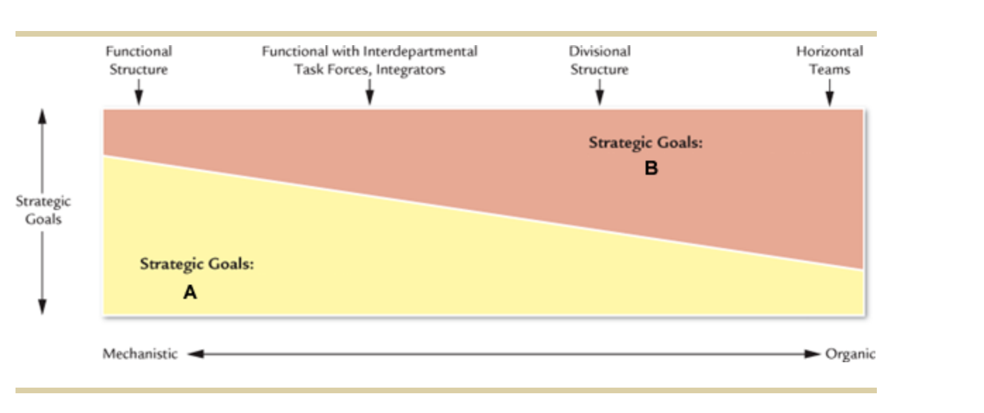 Solved 5. Strategy and structure (Connect, Perform) The | Chegg.com