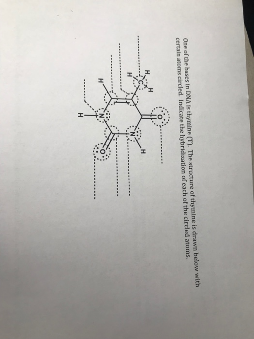 Thymine Lewis Structure