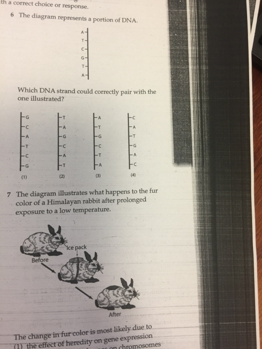 Solved th a correct choice or response. The diagram | Chegg.com