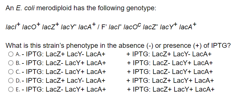 Solved An E. coli merodiploid has the following genotype: | Chegg.com
