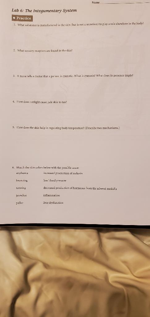 Solved Nune Lab 6: The integumentary System Practice 1. What | Chegg.com