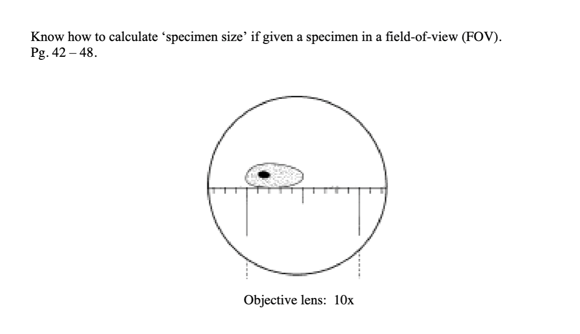 Solved Know how to calculate 'specimen size' if given a | Chegg.com