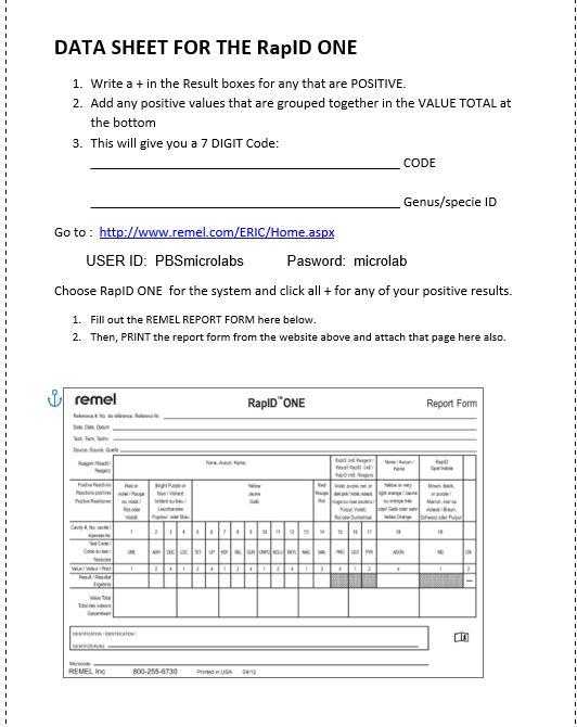 DATA SHEET FOR THE RapID ONE 1. Write a + in the | Chegg.com