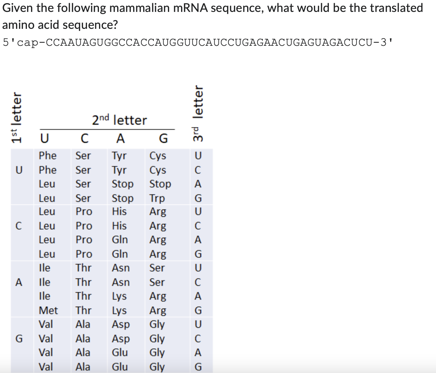 Solved Given the following mammalian mRNA sequence, what | Chegg.com