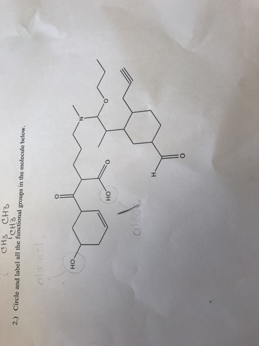 Solved Circle and label all the functional groups in the | Chegg.com