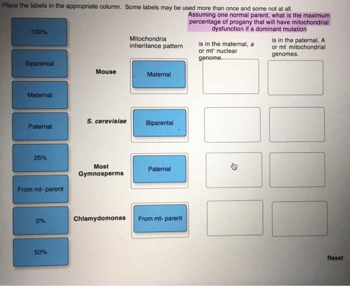 Solved Place the labels in the appropriate column. Some | Chegg.com