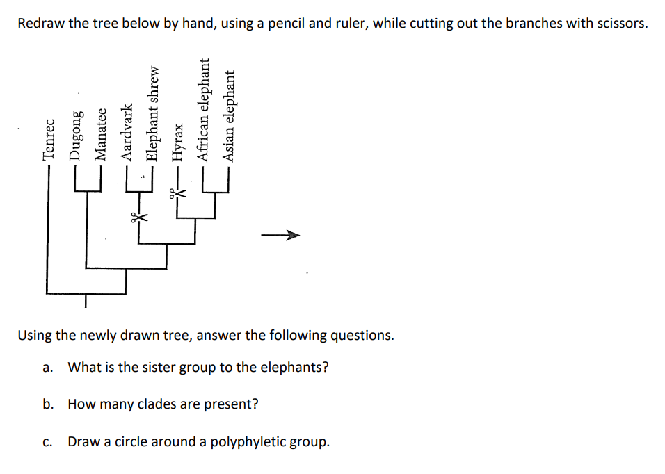 Solved Redraw the tree below by hand, using a pencil and | Chegg.com