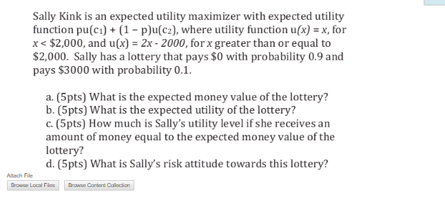 Solved Sally Kink is an expected utility maximizer with | Chegg.com