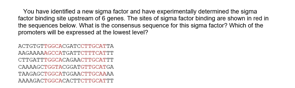 Solved You Have Identified A New Sigma Factor And Have