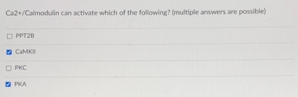 Solved Ca2+/Calmodulin can activate which of the following? | Chegg.com