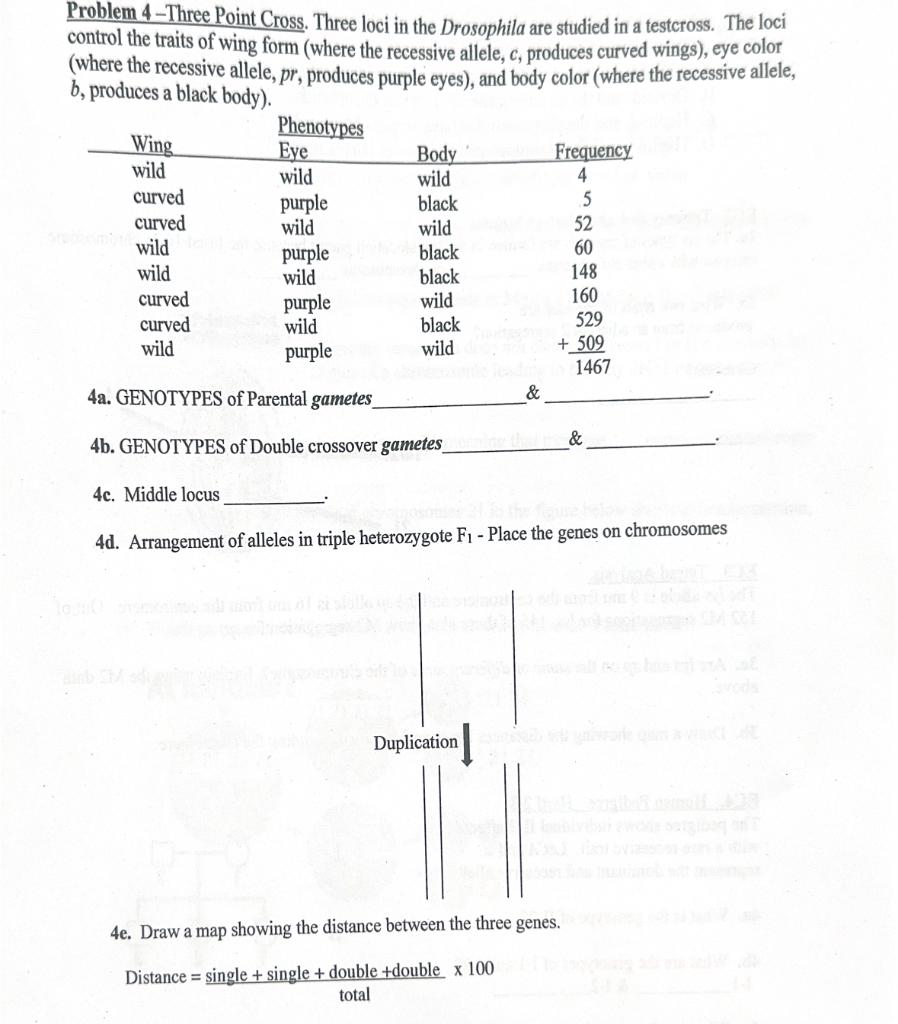Solved Problem 4-Three Point Cross. Three loci in the | Chegg.com