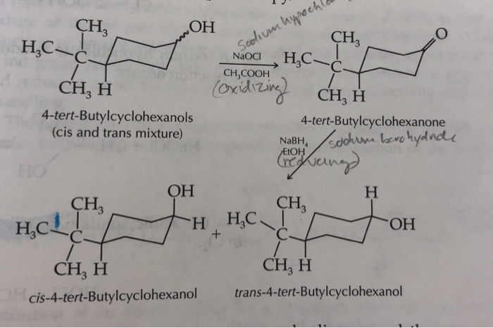Solved The mechanism for oxidation and reduction of | Chegg.com