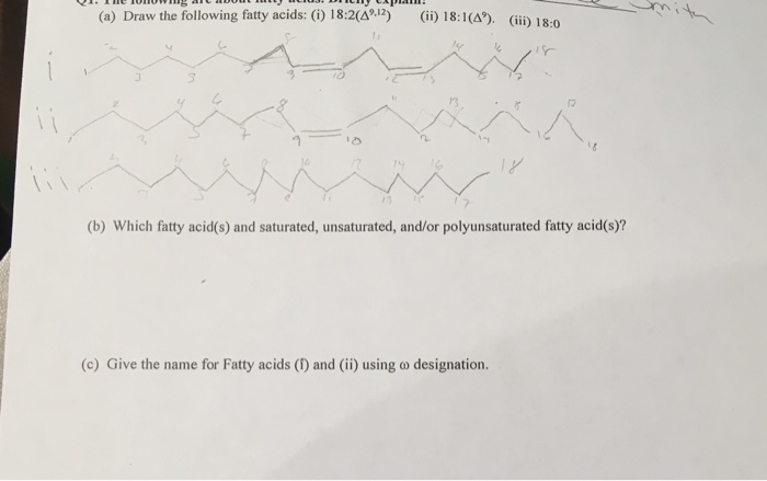 Solved (a) Draw the following fatty acids: () 18:2(4.1)(i) | Chegg.com