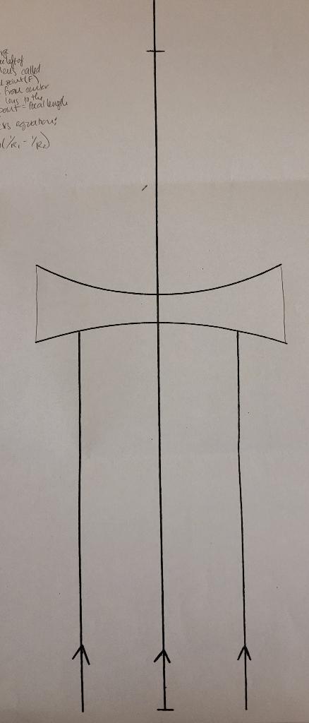 Solved The small horizontal lines on the optic axis | Chegg.com