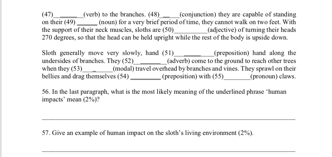 Solved Reading I Sloths: The Sluggish Tree-Dwellers | Chegg.com
