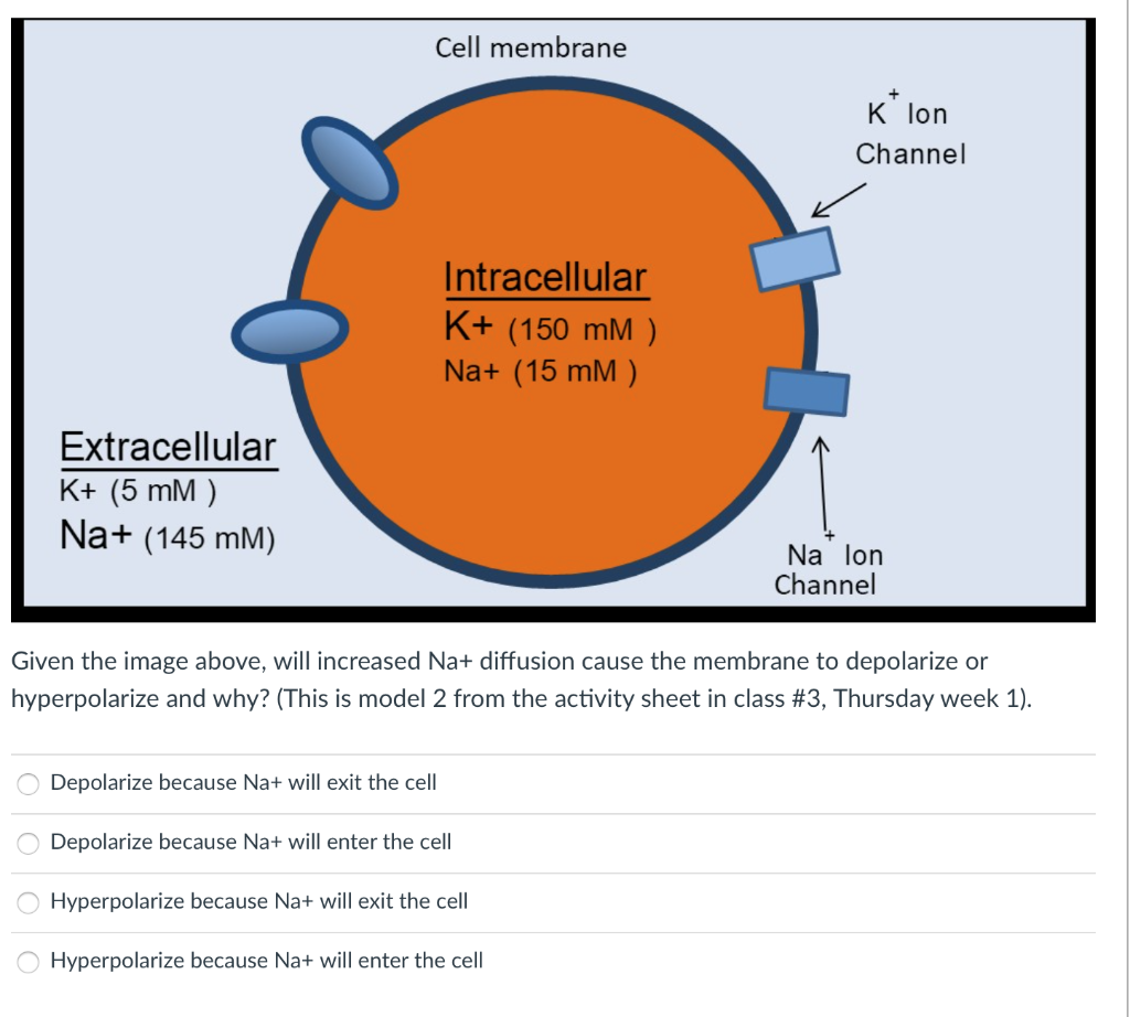 Given the image above, will increased Na+ diffusion | Chegg.com