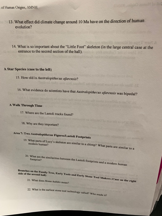 Solved Hall of Human Origins, AMNH Area 2: Fossils: A Record | Chegg.com