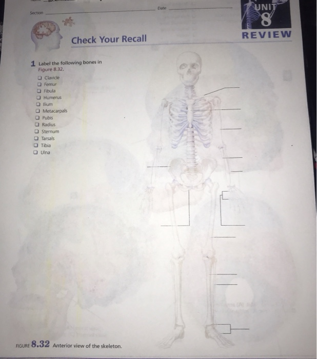 Solved UNI Date Section REVIEW Check Your Recall 1 Label the | Chegg.com