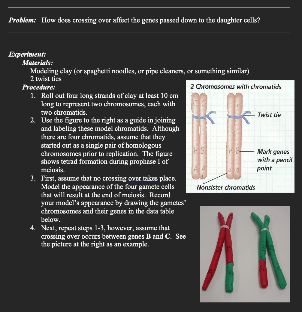 Solved Conclusions: 1. Define crossing over and explain | Chegg.com