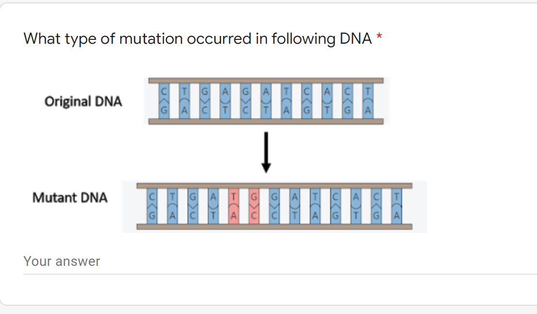 Solved What type of mutation occurred in following DNA * | Chegg.com