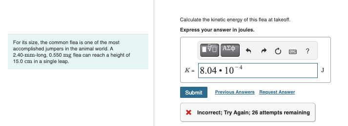 Solved Calculate the kinetic energy of this flea at takeoff. | Chegg.com