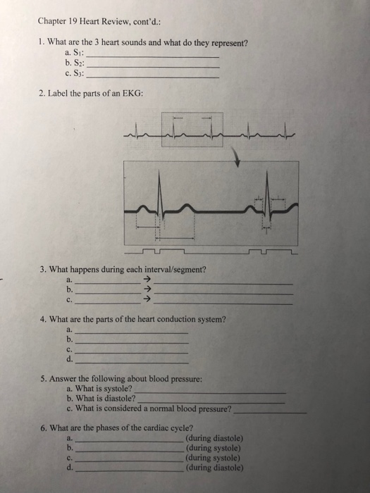 Solved Chapter 19 Heart Review, cont'd.: represen a. Si: b. | Chegg.com