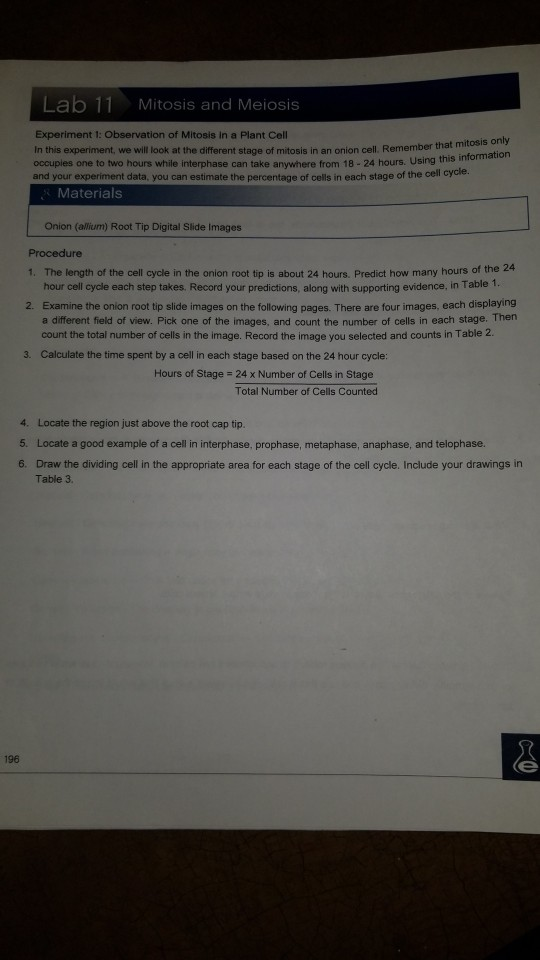 Solved Lab 11 Mitosis and Meiosis Experiment 1: Observation | Chegg.com