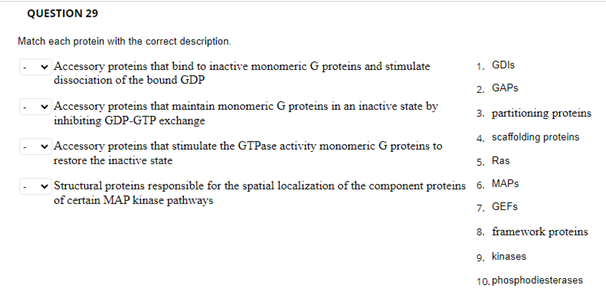 Solved QUESTION 29 Match each protein with the correct | Chegg.com