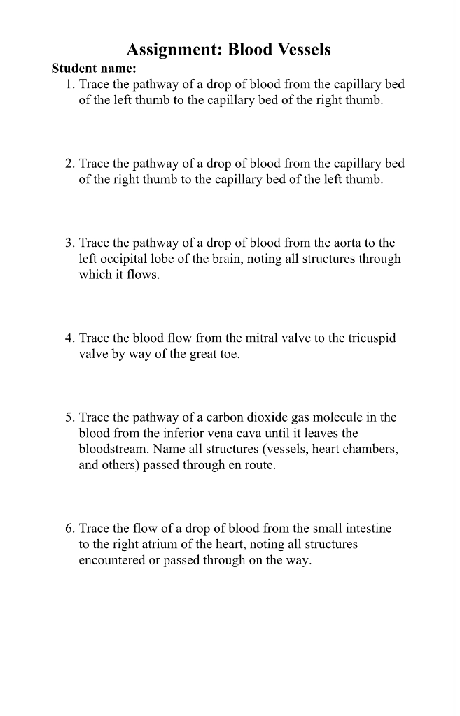 Solved Assignment: Blood Vessels Student name: 1. Trace the | Chegg.com