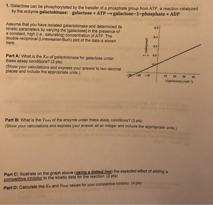 Solved 1. Galactos e can be phosphorylated by the transfer | Chegg.com