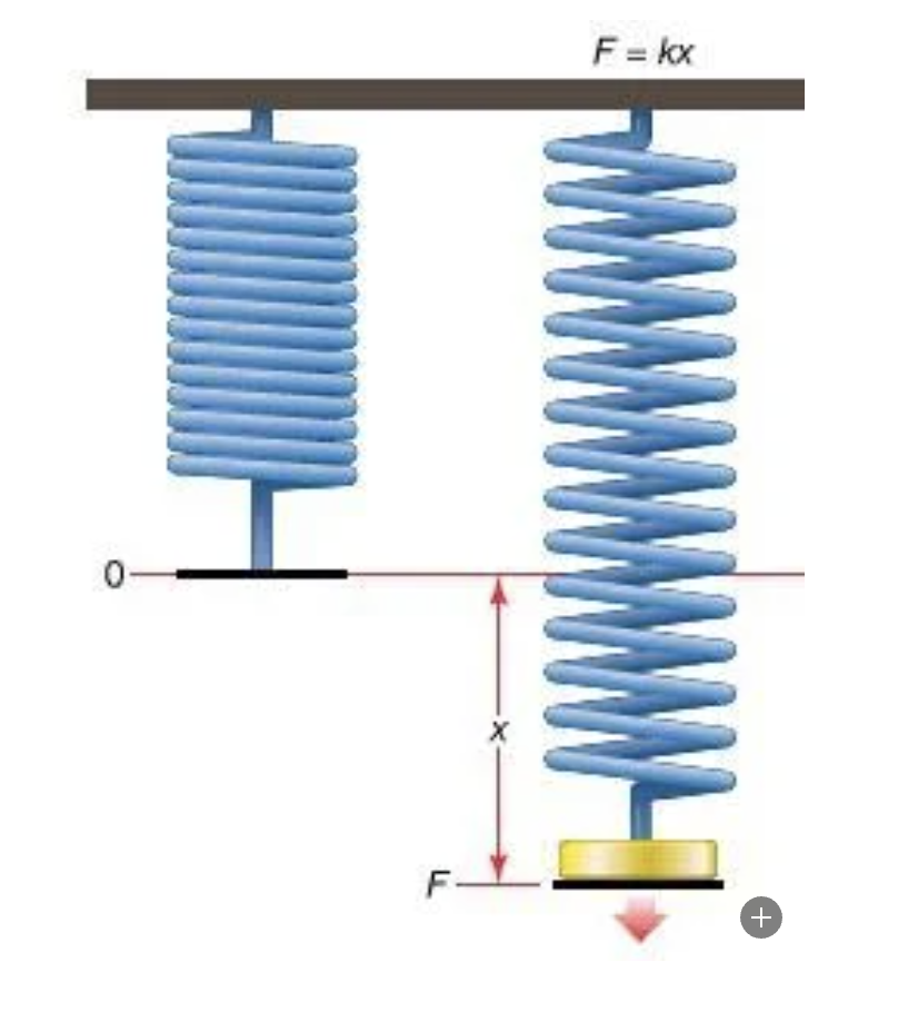 Solved A spring with a spring constant of 185 ﻿N/m hangs | Chegg.com