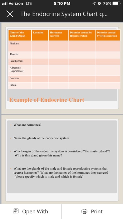 Hormone Chart Endocrine System