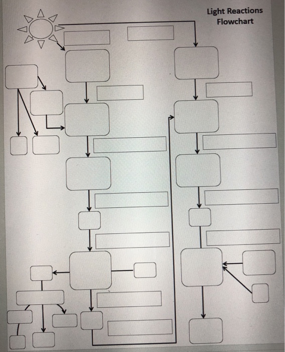 Solved Use the list of terms and connectors to fill in the | Chegg.com