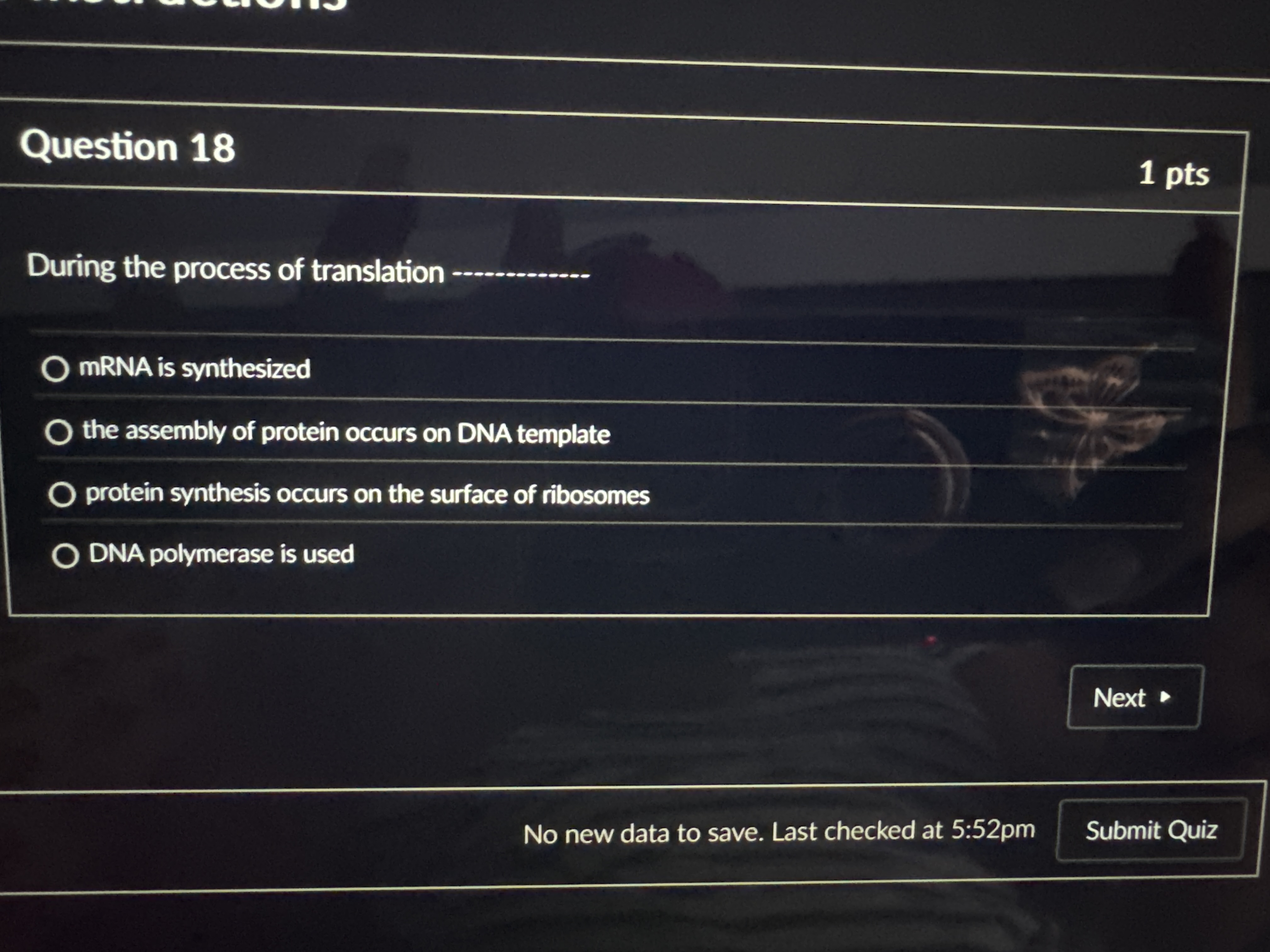 Solved During the process of ﻿translation -Question 18During | Chegg.com