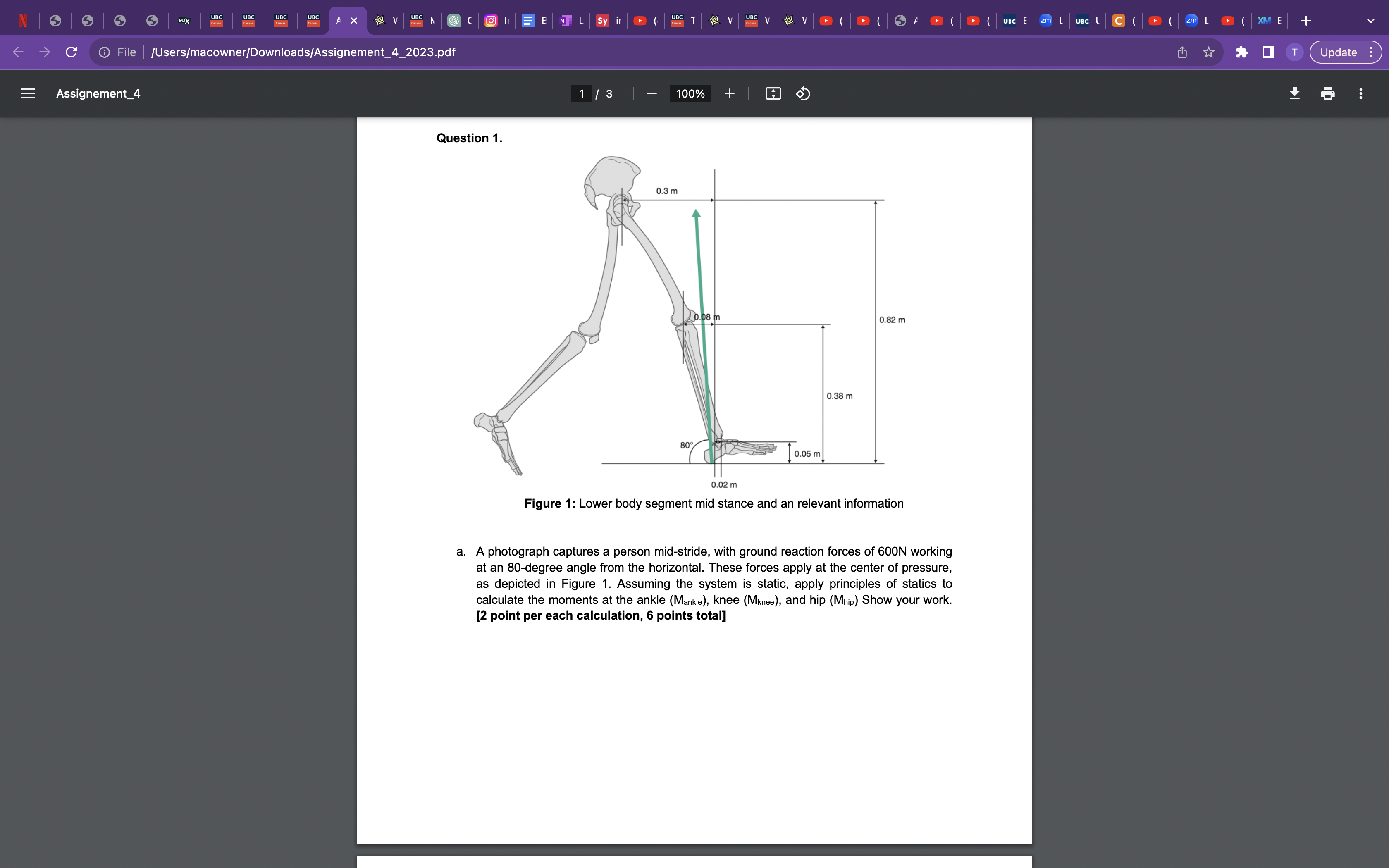 Solved Question 1. rigure 1: Lower poay segment mia stance | Chegg.com