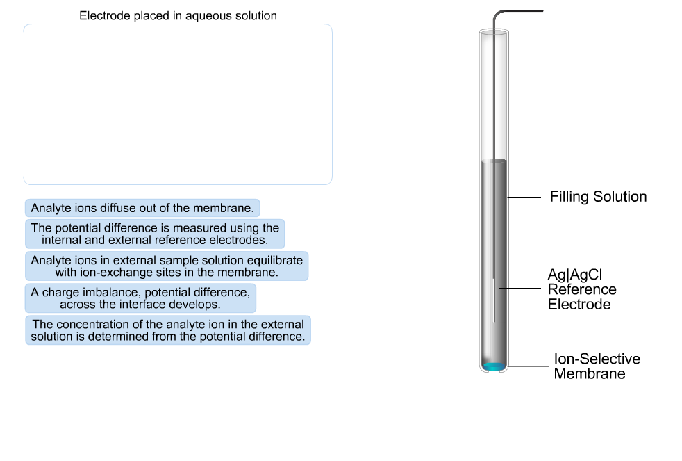 Solved Electrode placed in aqueous solution Filling Solution | Chegg.com