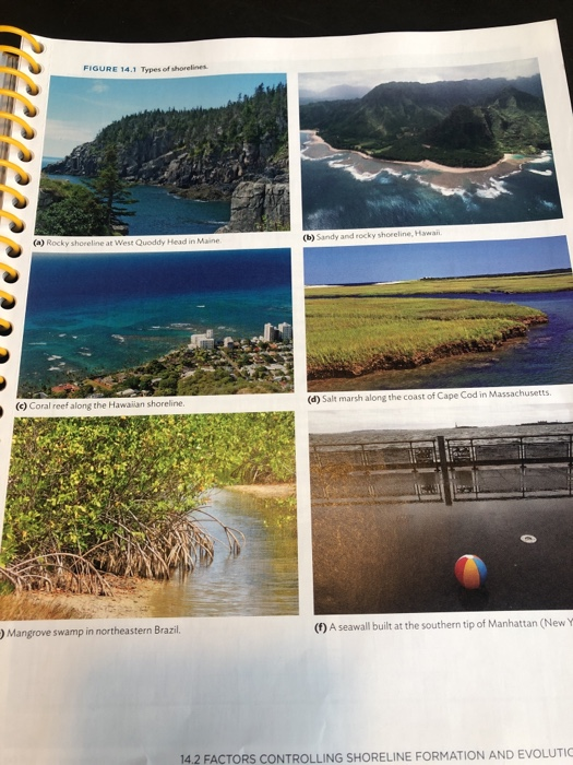 Solved FIGURE 14.1 Types of shorelines Rocky shoreline at | Chegg.com