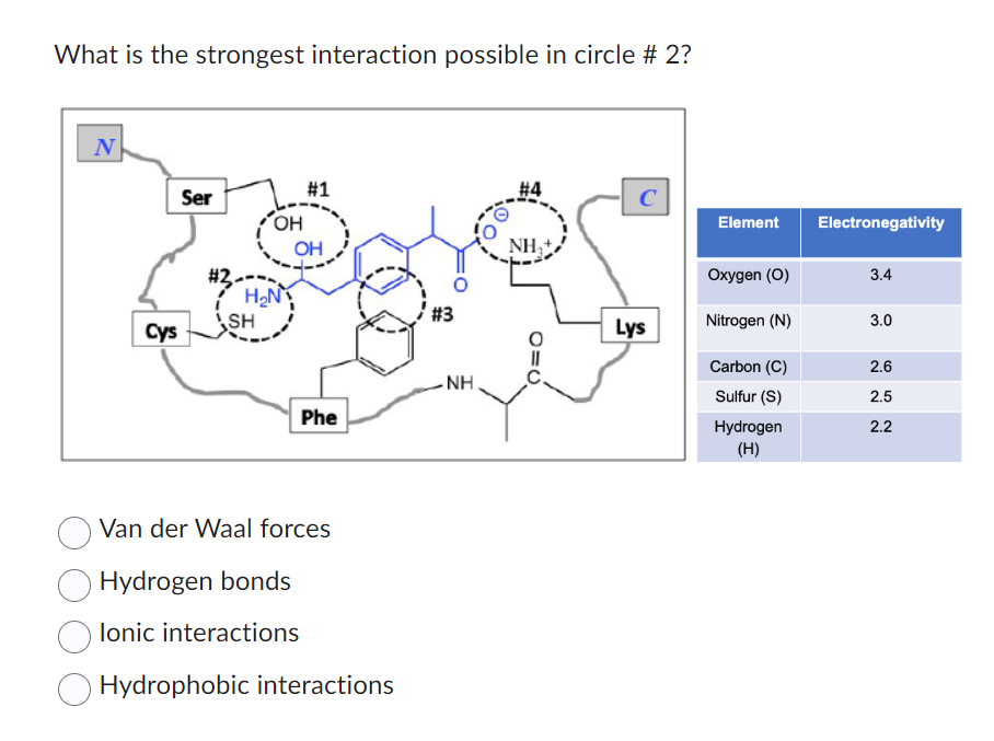 Solved What is the strongest interaction possible in circle | Chegg.com