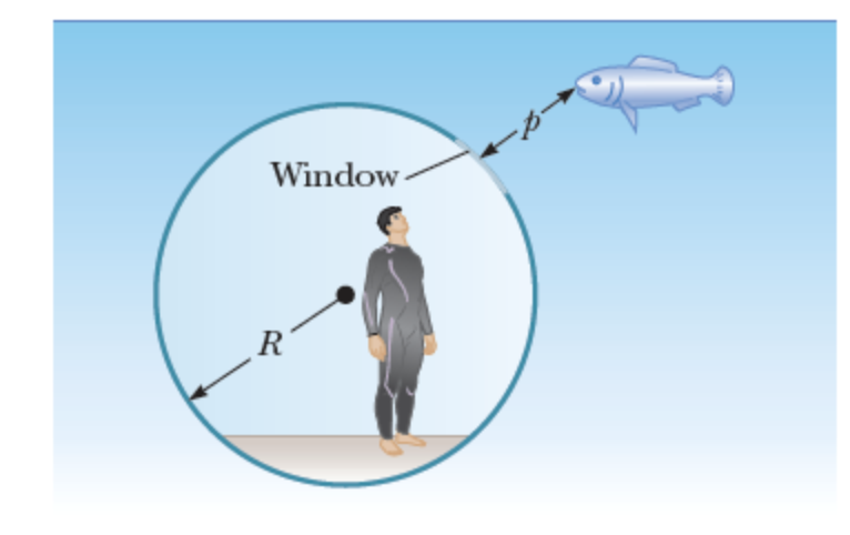 Solved A man inside a spherical diving bell watches a fish | Chegg.com