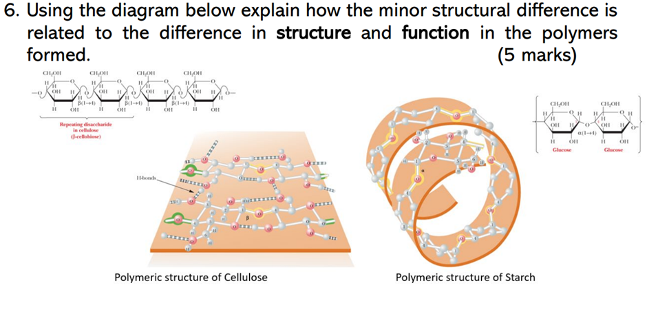 6. Using the diagram below explain how the minor | Chegg.com